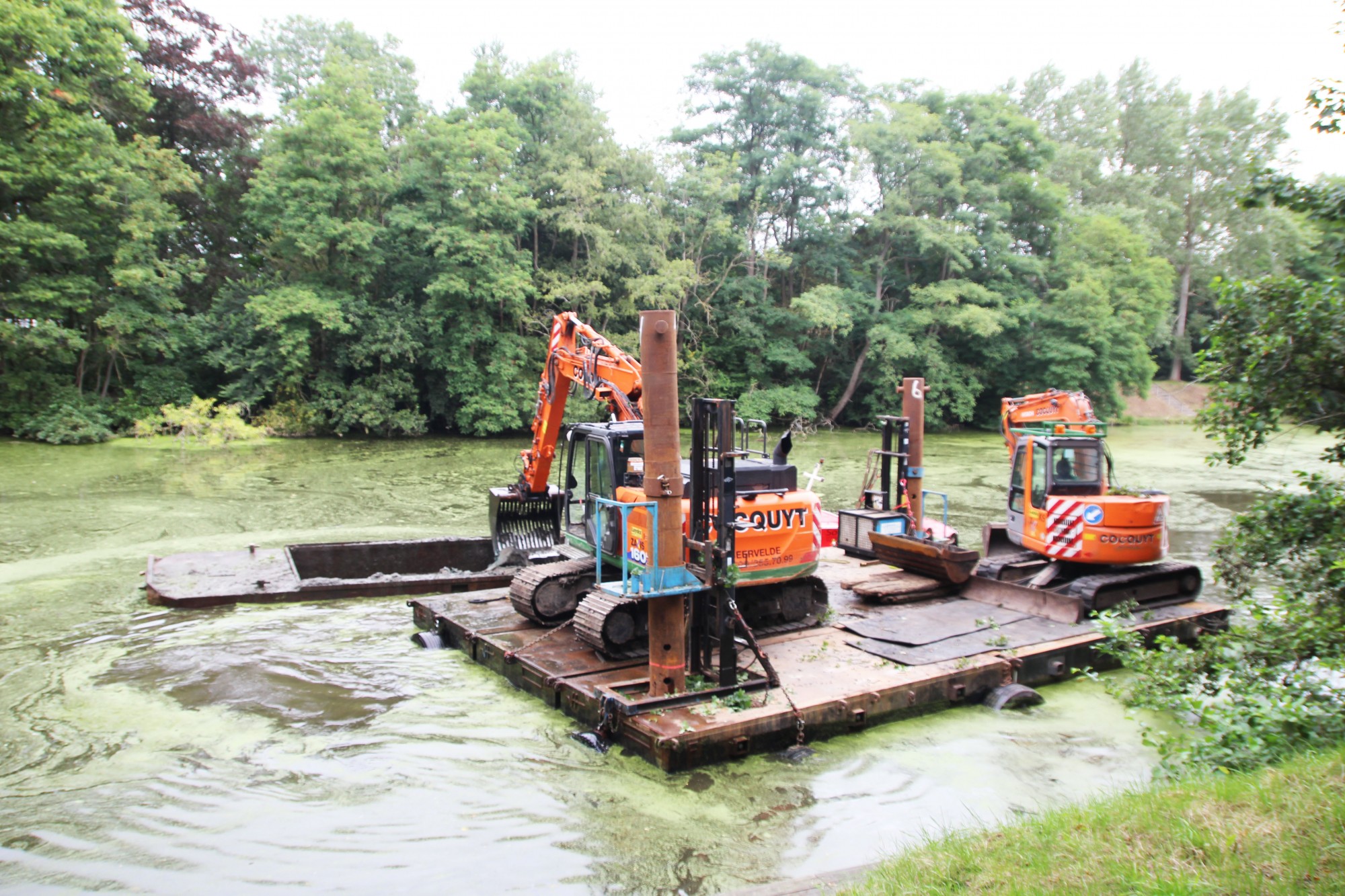 Project in de kijker: baggerwerken in bosgebied voor Natuur & Bos